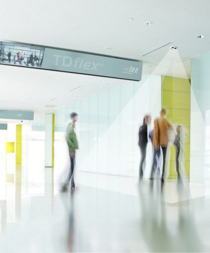 Tailgate Detector TDflex - IEE Smart Sensing Solutions