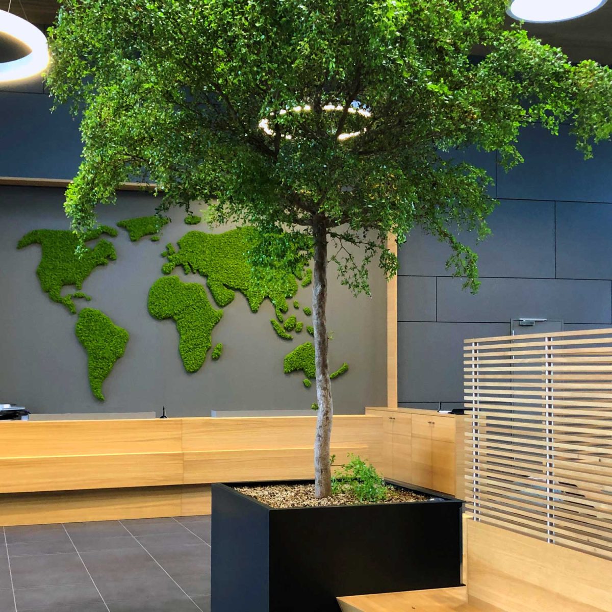 Our company - IEE Smart Sensing Solutions